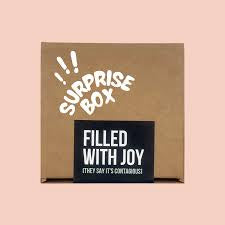 Surprise Joy Boxes – Boxed Joy Co.
